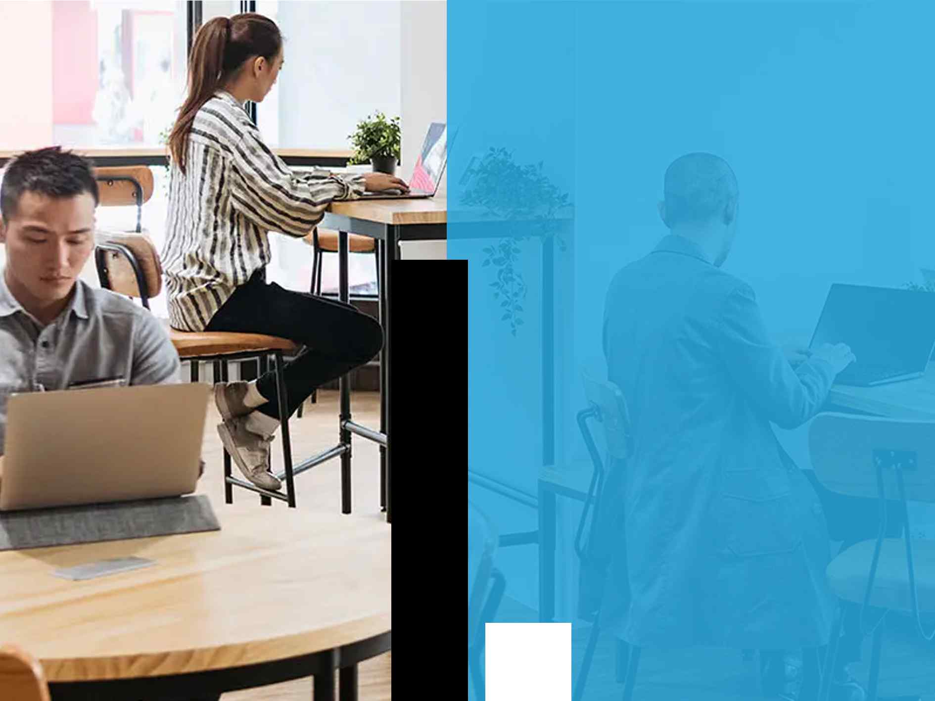 Expert IT Solutions and Services | Intelliworx Australia